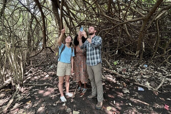 Kochi: Kumarakom Day Trip with Shikara Cruise & more - FAQs