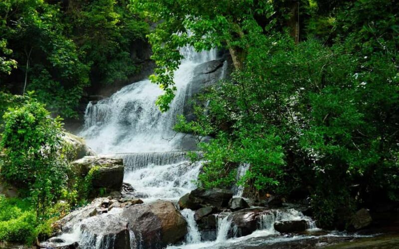 Kochi Nature Day Tour: Caves, Waterfalls and Viewpoint - A Hands-On Look at the Kochi Nature Day Tour: Caves, Waterfalls, and Viewpoints
