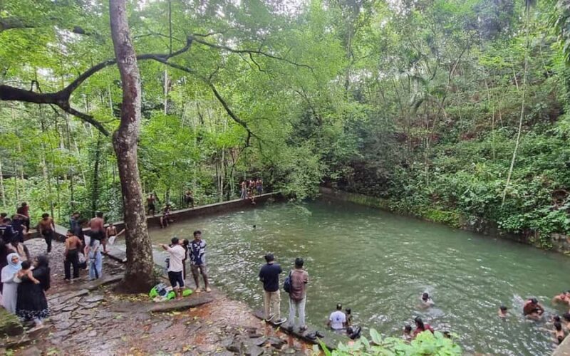 Kochi Nature Day Tour: Caves, Waterfalls and Viewpoint - Why This Tour Offers Value