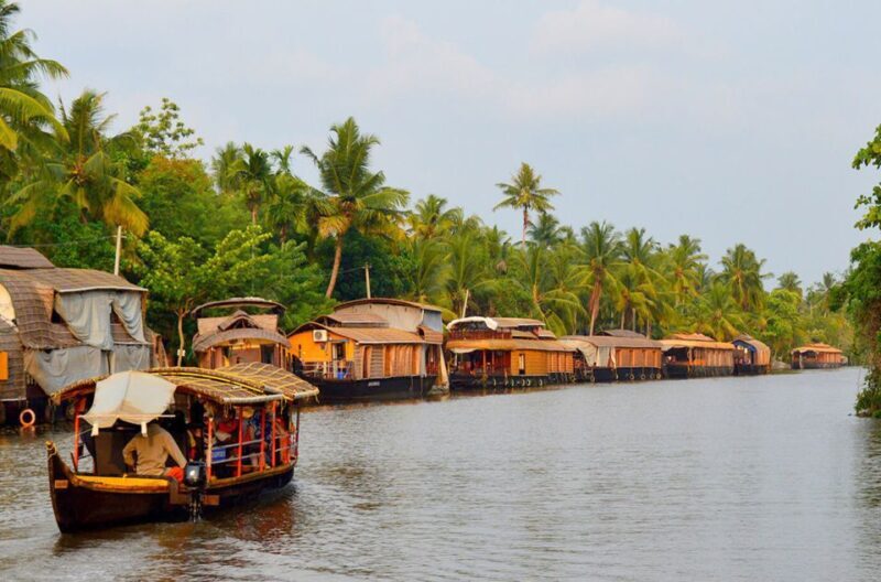 Kochi: Private Backwater Houseboat Day Cruise with Transfers - Key Points