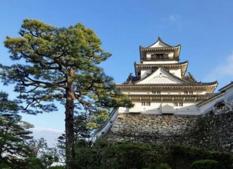 Kochi Private Custom Tour with Local Guide - Key Points