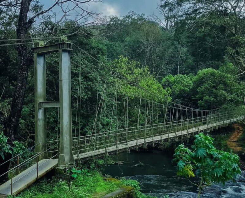 Kochi: Private Kerala Scenic Beauty Day Tour with Lunch - FAQ