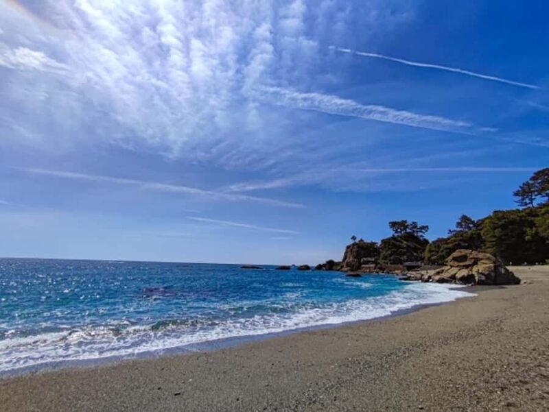 Kochi: Private Shore Excursion for cruise passenger - Frequently Asked Questions