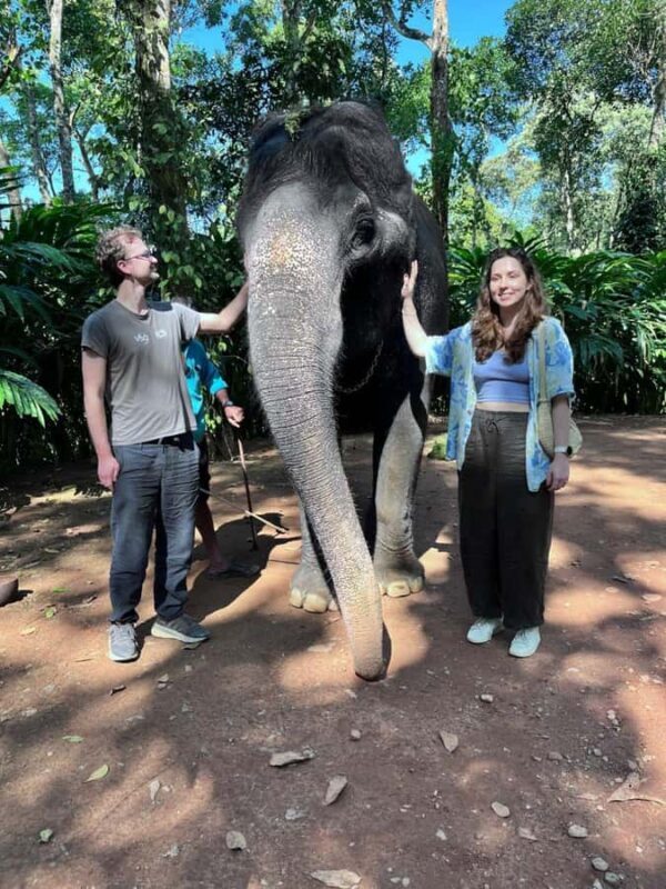 Kochi:- Same Day Periyar Wildlife Tour with Elephant Bath - Key Points