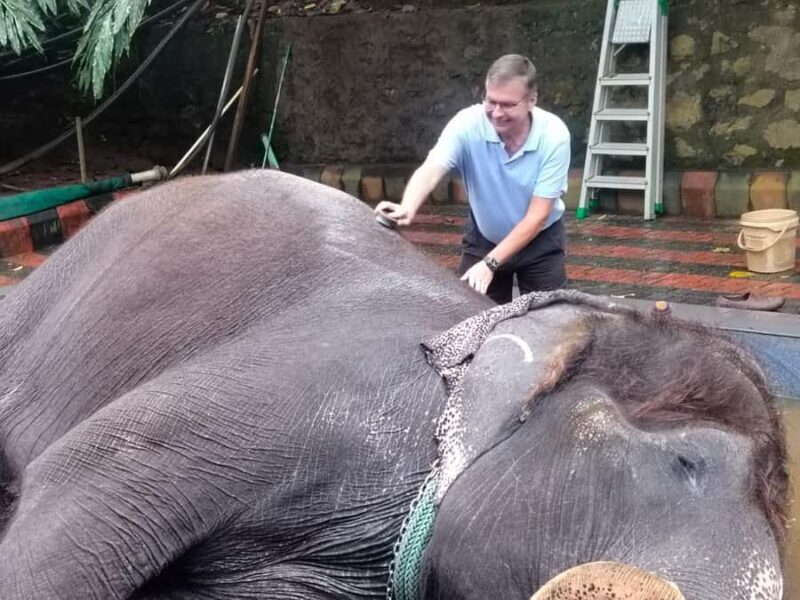 Kochi:- Same Day Periyar Wildlife Tour with Elephant Bath - Frequently Asked Questions