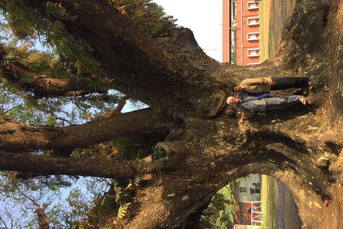 Kochi Sightseeing Tuk-Tuk Tour with Pickup From Cruise Ships - What Travelers Are Saying