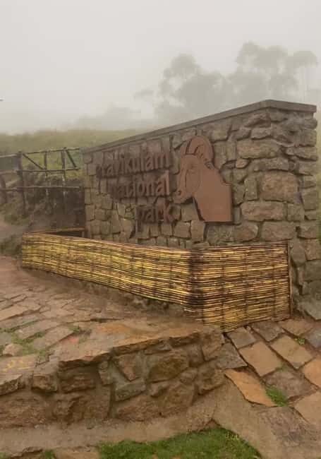 Kochi to Munnar: Eravikulam, Tea Estate and Waterfalls - Key Points