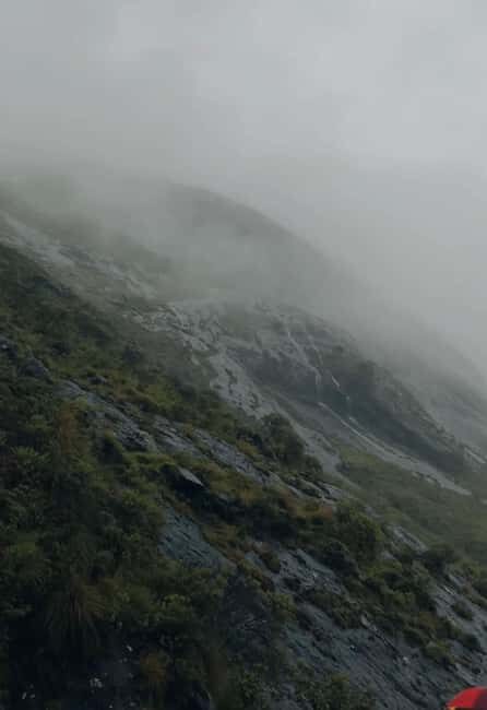 Kochi to Munnar: Eravikulam, Tea Estate and Waterfalls - An Authentic Day in Munnar—What to Expect