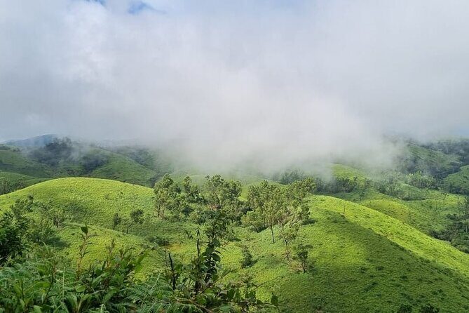 Kochi to Munnar Private Full Day Guided Tour With Hotel Pickup - Key Points