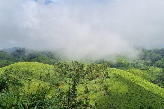 Kochi to Munnar Private Full Day Guided Tour With Hotel Pickup - In-Depth Look at the Munnar Day Trip