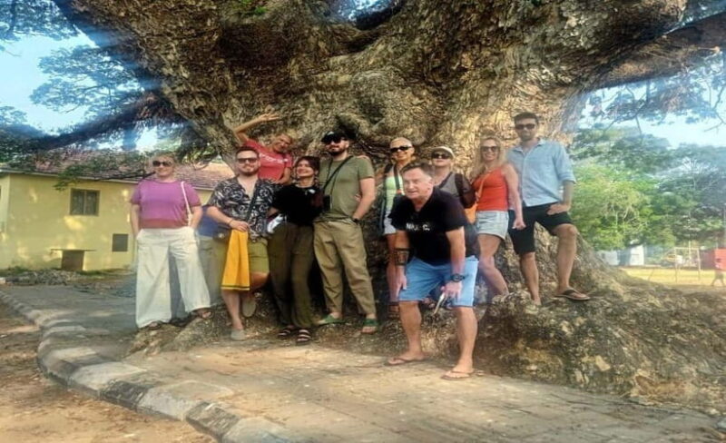 Kochi: Tuk-Tuk Tour with Pickup from Cruise Ships - Final Thoughts