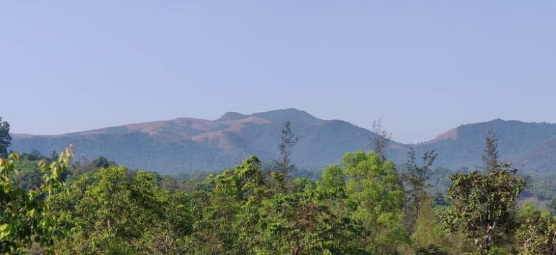 Kodachadri: Summit Trek with forest and cave experience - FAQ