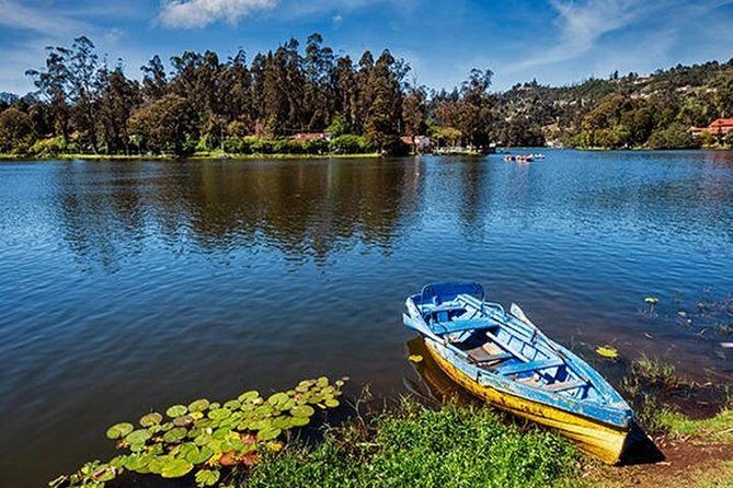 Kodaikanal Sightseeing Tour Package 3 Days & 2 Night - A Closer Look at the Kodaikanal Experience