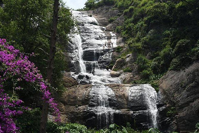 Kodaikanal Sightseeing Tour Package 3 Days & 2 Night - The Final Day: Wrapping Up Your Visit