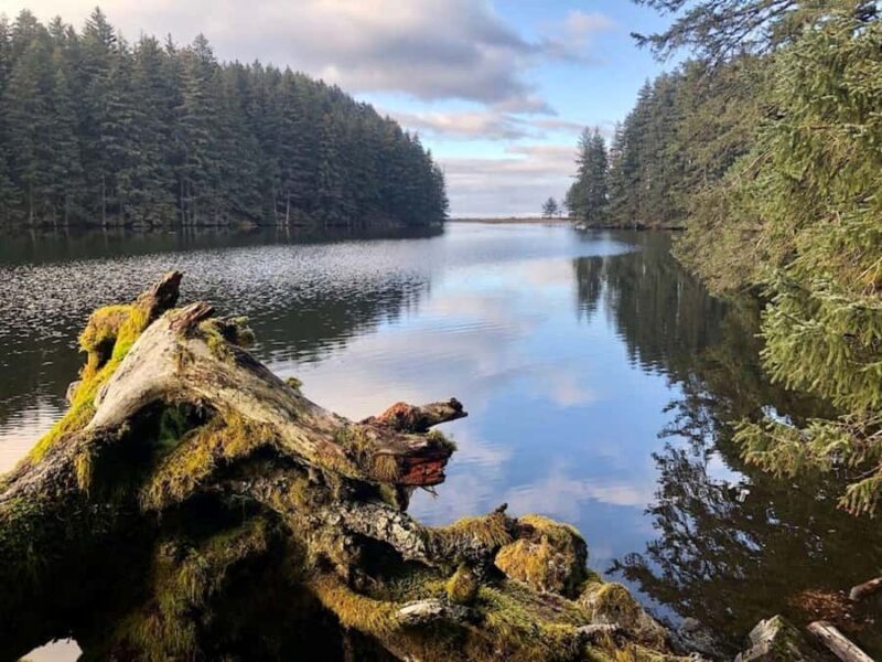 Kodiak: Rainforest Hike with Naturalist Guide - An Authentic Look at Kodiak’s Rainforest