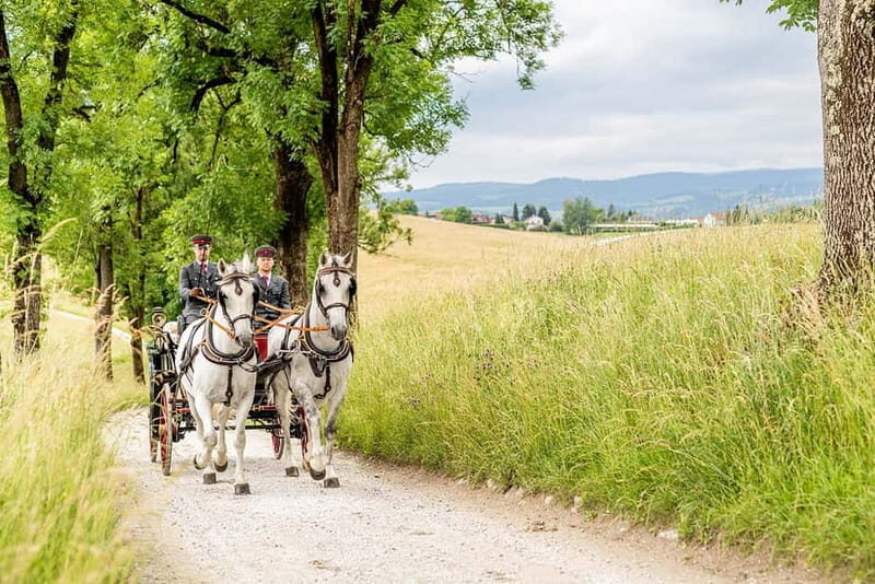 Köflach: Lipizzaner Stud Farm Visit - What to Expect on the Visit
