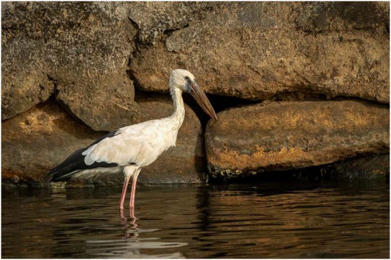 Koggala Lake Boat Safari with Malish - Exploring Koggala Lake: A Hands-On Boat Safari with Malish