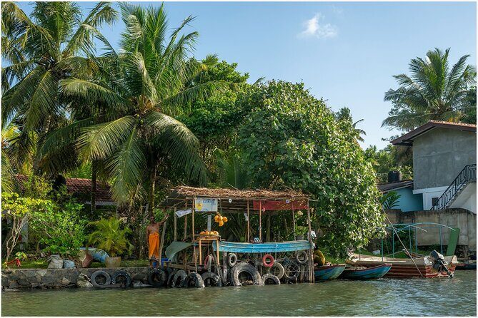 Koggala Lake Boat Safari with Malish - An In-Depth Look at the Koggala Lake Boat Safari