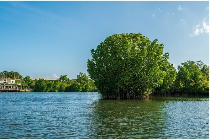 Koggala Lake Boat Safari with Malish - Frequently Asked Questions