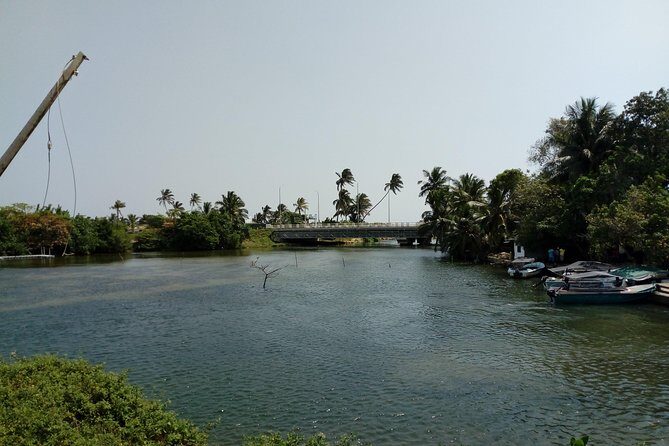 Koggala Lake Boat Tour - Key Points