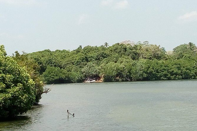 Koggala Lake Boat Tour - An Authentic Lake Experience with Personal Touches