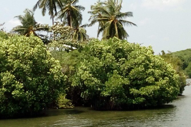 Koggala Lake Boat Tour - Frequently Asked Questions