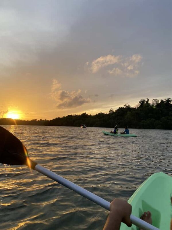 Koggala Lake Kayak Adventure with Malish - Key Points