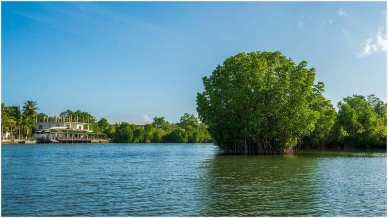 Koggala Lake Kayak Adventure with Malish - Final Thoughts