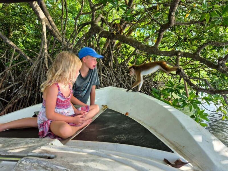 Koggala Lake Private Boat Tour with Dinesh - Detailed Breakdown of the Itinerary