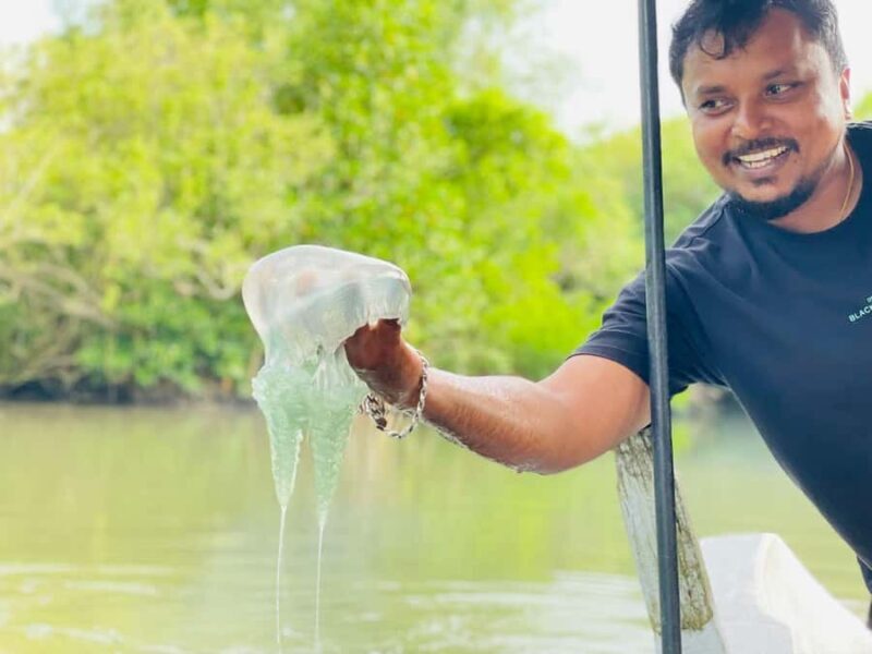 Koggala Lake Private Boat Tour with Dinesh - Practical Details and Tips