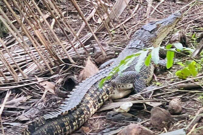 Koggala Lake Safari: Monkeys, Wildlife & Cinnamon Island Visit - FAQ