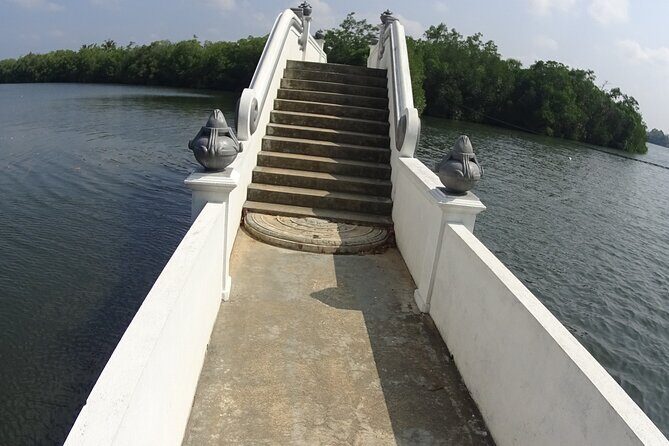 Koggala Lake Tour - Final Thoughts: Is the Koggala Lake Tour Worth It?