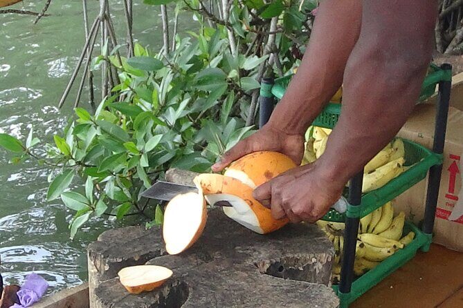 Koggala Lake Tour - FAQs