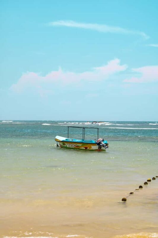 Koggala: Stilt Fishing Experience - Watching the Fishermen at Work