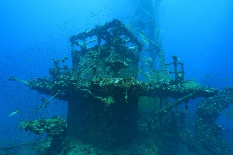 Koh Chang: 1-Day Dive Trip to Top Underwater Sites - Key Points