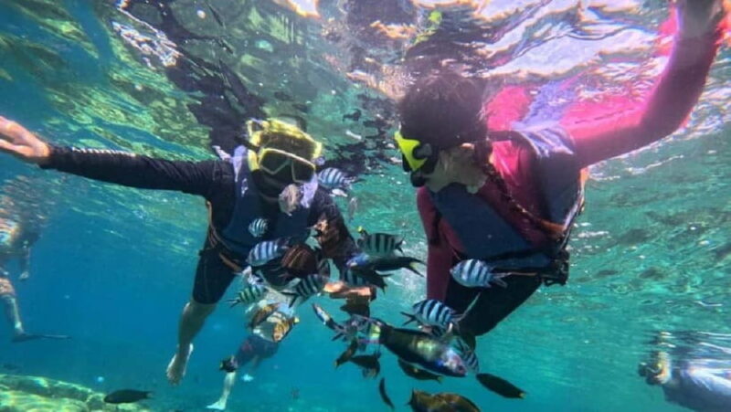 Koh Chang: 5 Island Guided Boat Tour with Lunch Buffet - Authentic Experiences & Real Traveler Feedback