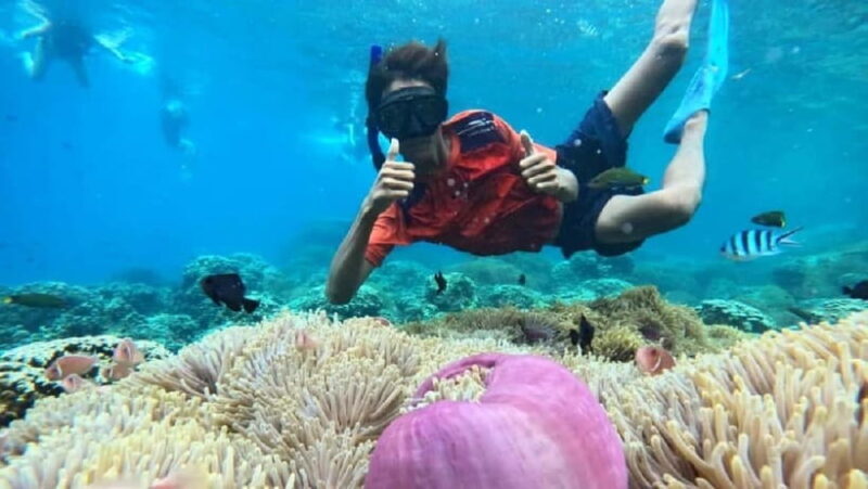 Koh Chang: 5 Island Guided Boat Tour with Lunch Buffet - What Travelers Should Know