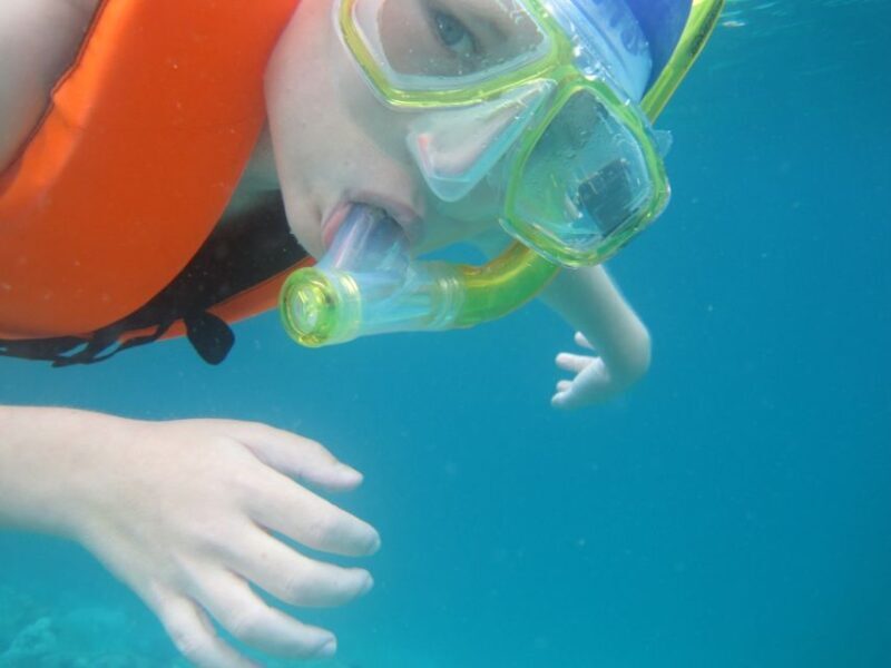Koh Chang: Half-Day Snorkeling Adventure on a Speedboat - Who Will Love This Tour?