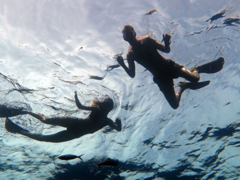 Koh Chang: Half-Day Snorkeling Adventure on a Speedboat - FAQ