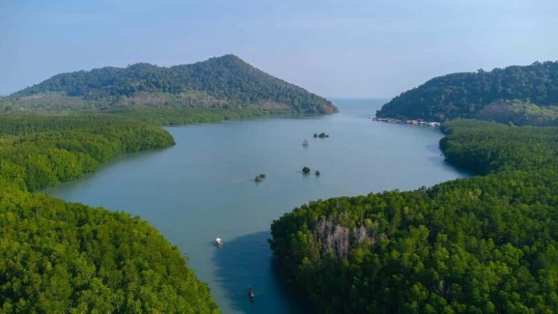Koh Chang: Mangrove Forest Gondola Tour - Why This Tour Stands Out