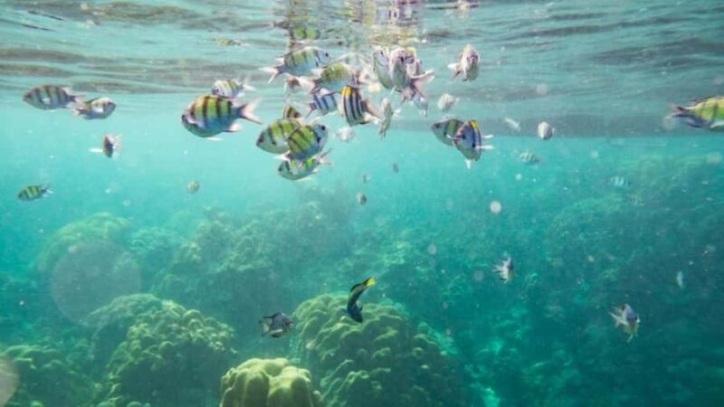 Koh Chang: Private Snorkeling Trip to 3 Islands - Analyzing the Value