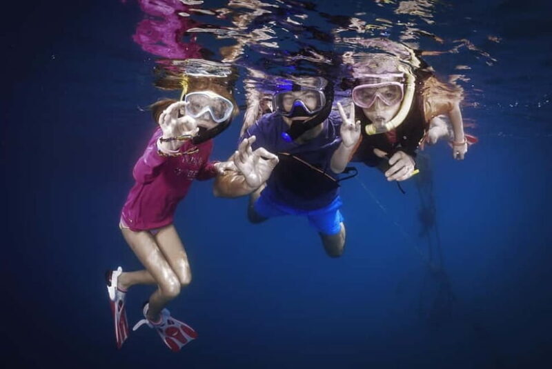 Koh Chang: Snorkeling Trip to Reefs or Wrecks with Lunch - The Sum Up: Is it worth it?