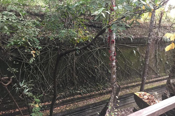 Koh Ker and Beng Mealea full day exploration by Jion-in Tour - What Travelers Say