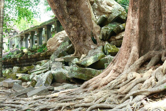 Koh Ker and Beng Melea Jungle Adventure Tour - Final Thoughts