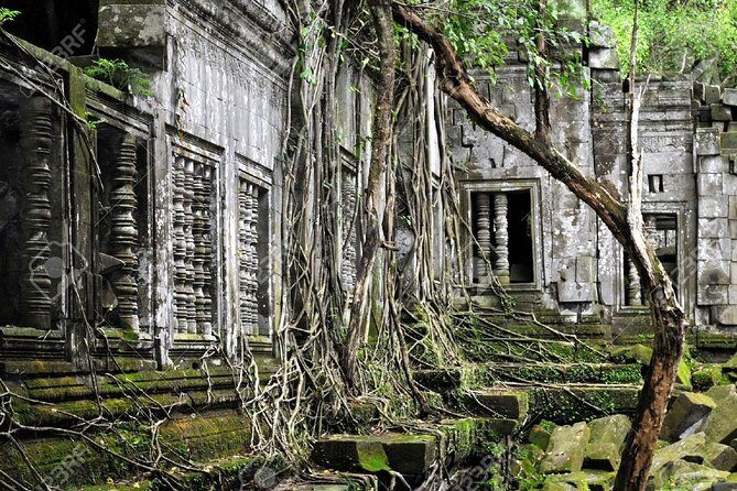 Koh Ker and the Jungle Beng Mealea Joined Tour - Why This Tour Stands Out