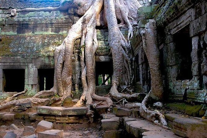 Koh Ker & Beng Mealea Full-Day Join-in Tour by Minivan - The Practicalities and Who Would Love This Tour