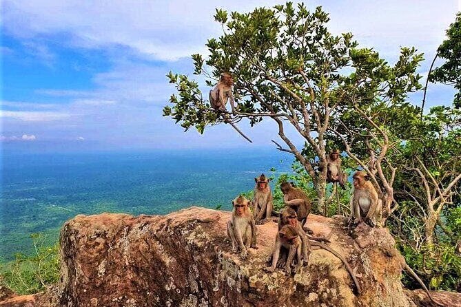 Koh Ker & Beng Mealea Temple Full-Day Private Tour from Siem Reap - FAQ
