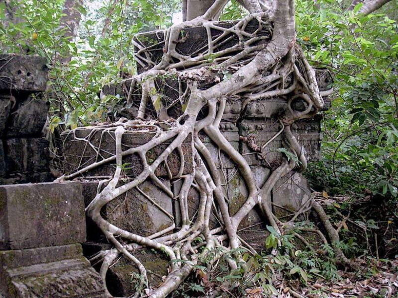 Koh Ker & Beng Mealea Temples Private Tour - FAQ