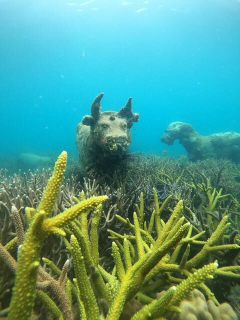 Koh Kood or Koh Rang: Snorkeling trip with lunch & transfer - Practical Tips for Travelers
