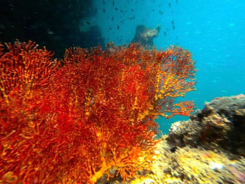 Koh Lanta: 4 Islands and Emerald Cave Snorkeling Trip - Key Points